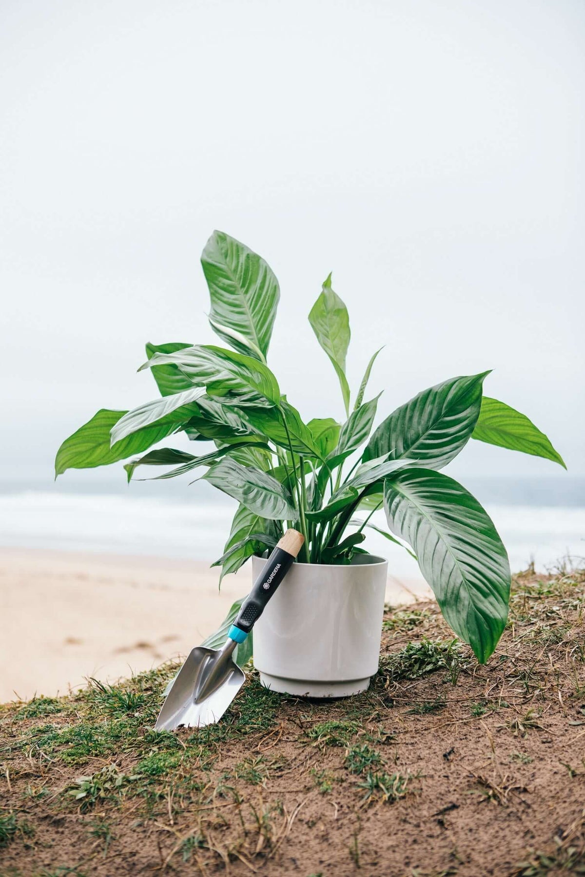 Pair of Limited Edition Ocean Pots - Gardena
